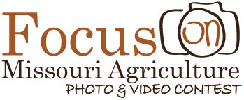 Focus on Missouri Agriculture Photo & Video Contest - Ozarks Farm ...