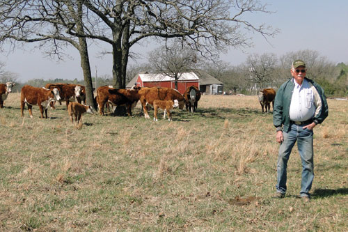 For the Love of Cattle - Ozarks Farm & Neighbor Newspaper - written for, by & about farmers