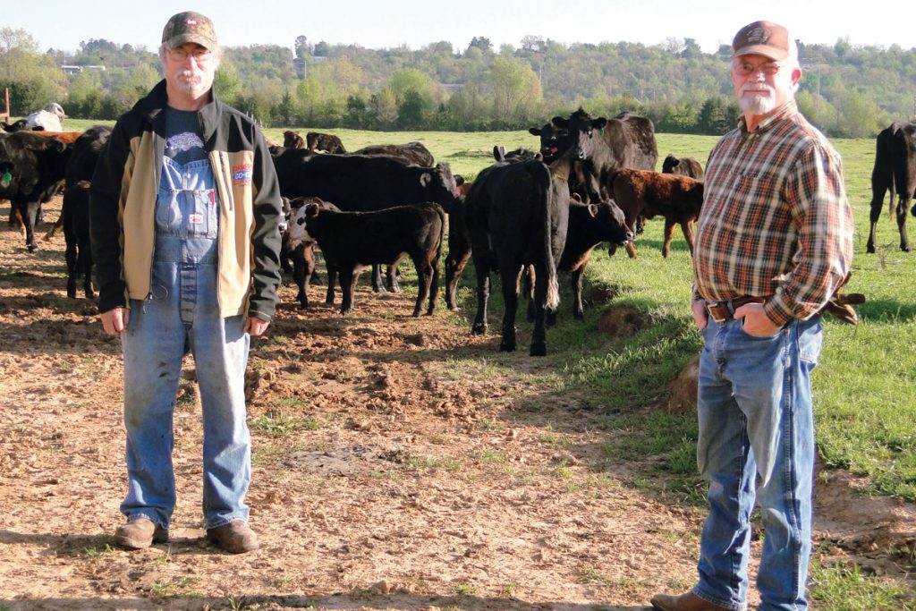 The Perfect Environment for Cattle - Ozarks Farm & Neighbor Newspaper - written for, by & about ...