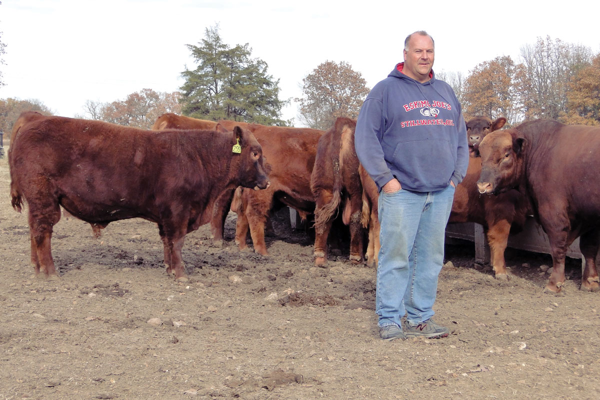For the Love of Red Cattle - Ozarks Farm & Neighbor Newspaper - written for, by & about farmers