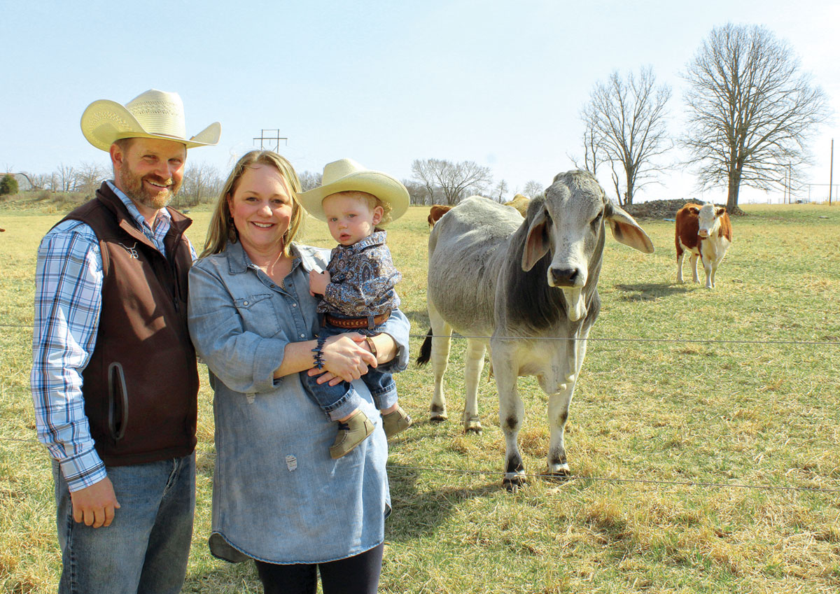 Cattle that Work - Ozarks Farm & Neighbor Newspaper - written for, by & about farmers