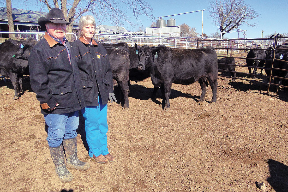 Breeding Uniform Cattle with Angus - Ozarks Farm & Neighbor Newspaper - written for, by & about ...