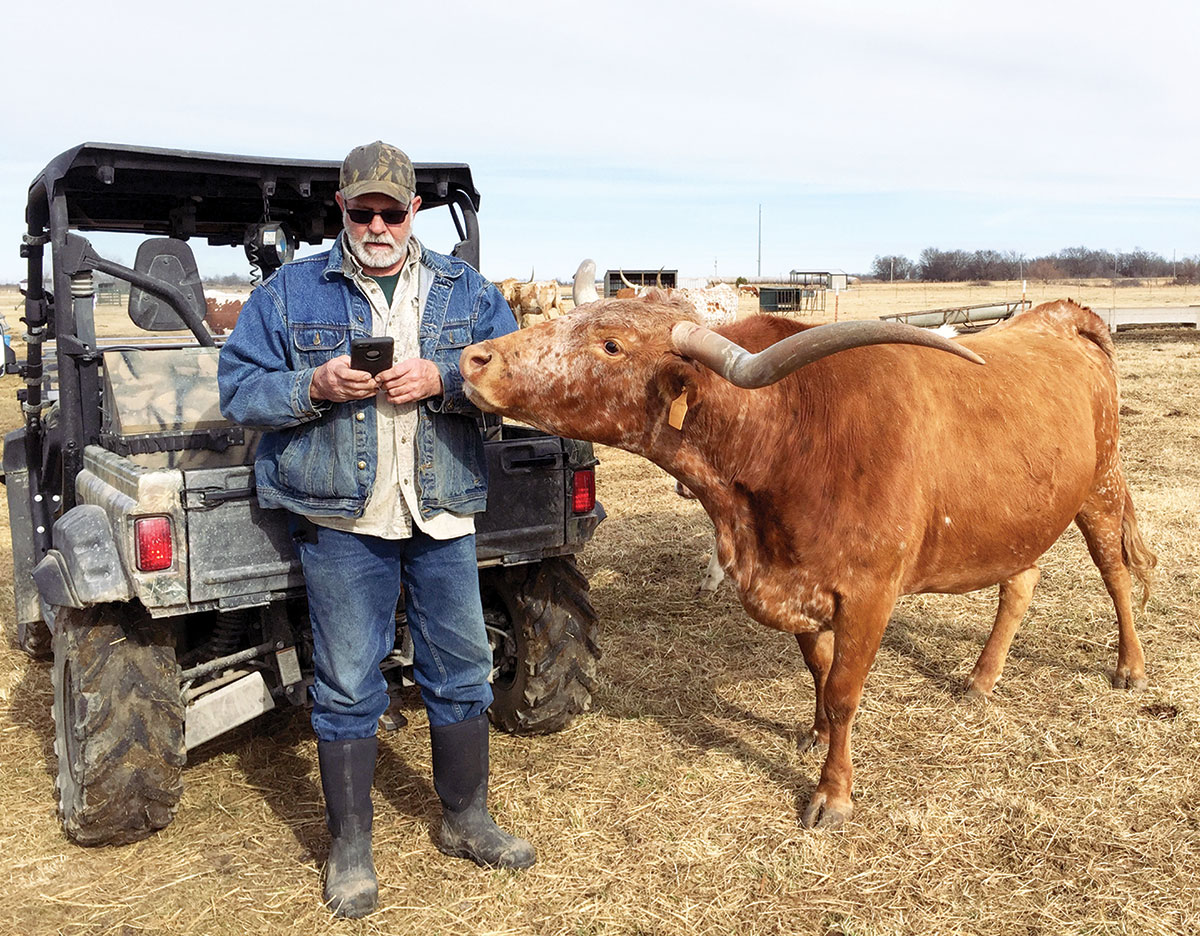 Hardy Cattle Healthy Beef Ozarks Farm And Neighbor Newspaper Written For By And About Farmers