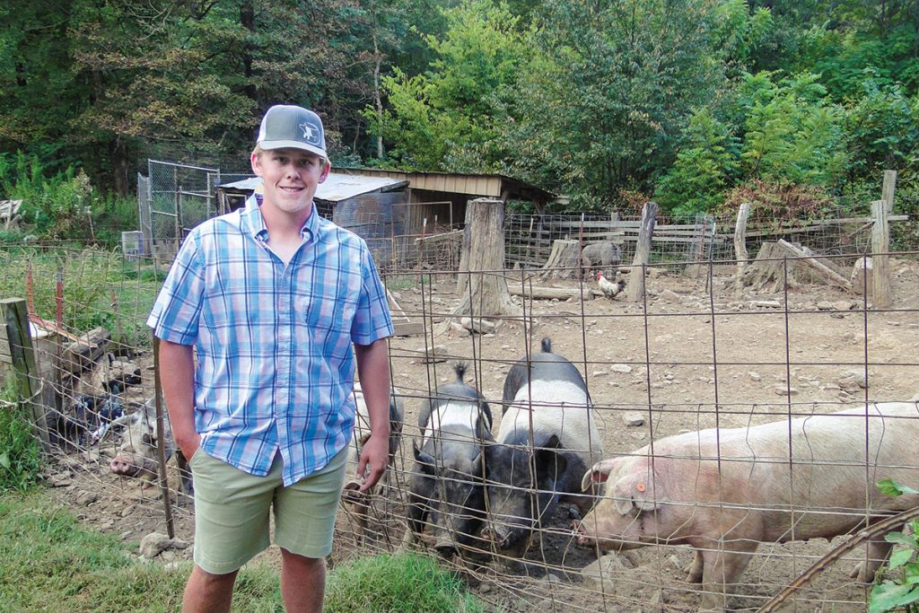 Show-Quality Swine - Ozarks Farm & Neighbor Newspaper - written for, by ...