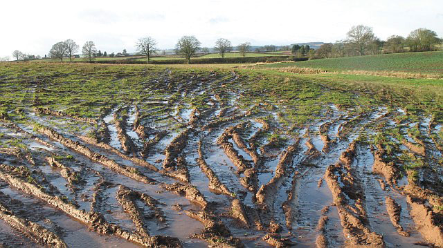Repairing the Land - Ozarks Farm & Neighbor Newspaper - written for, by ...