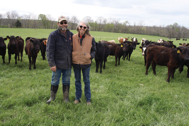 A New Way of Raising Cattle - Ozarks Farm & Neighbor Newspaper - written for, by & about farmers