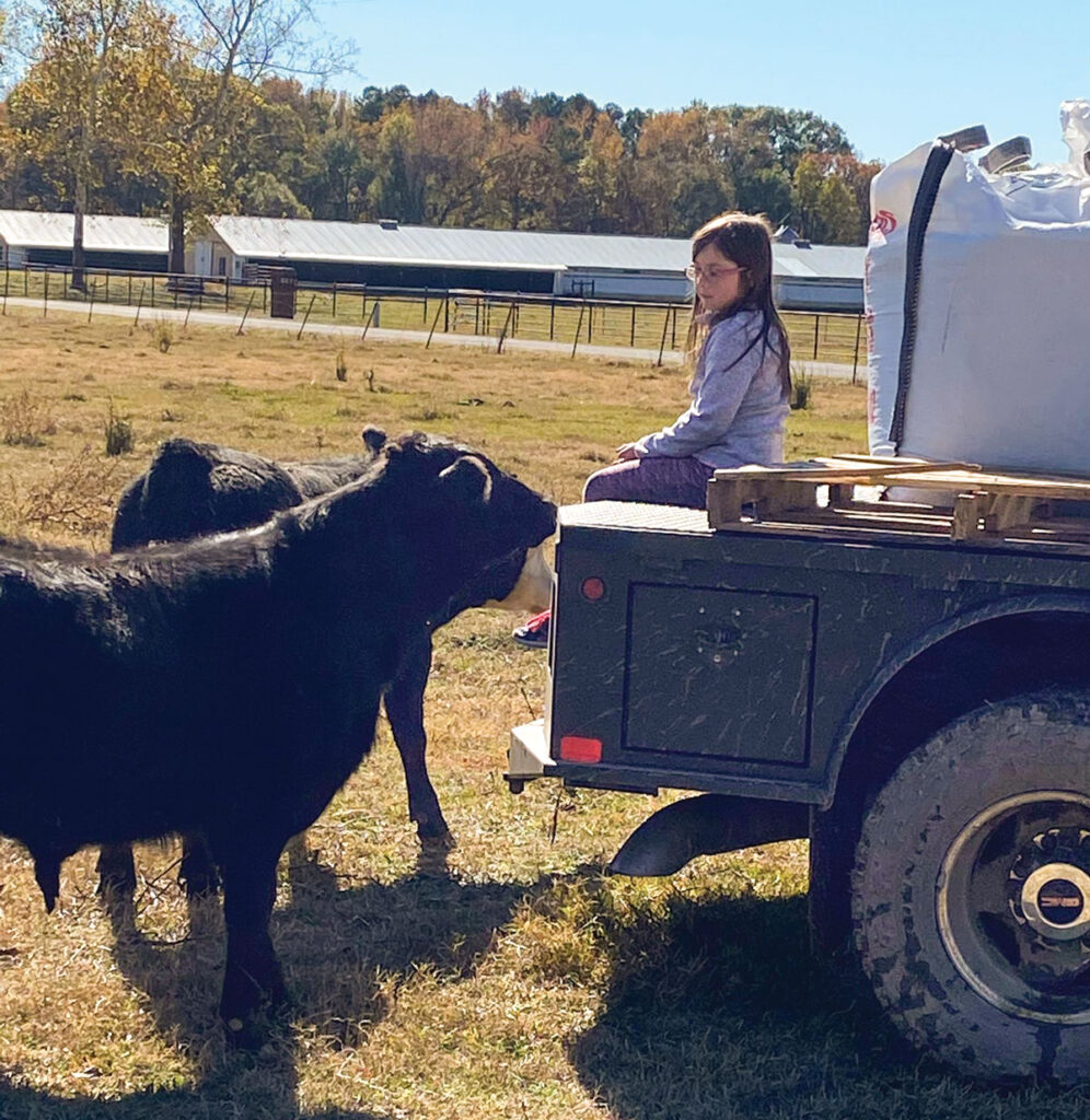 A New Line for Gray Farms - Ozarks Farm & Neighbor Newspaper - written ...