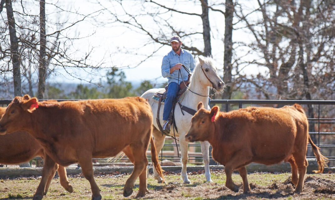 The Gentleman Rancher from Oklahoma - Ozarks Farm & Neighbor Newspaper ...