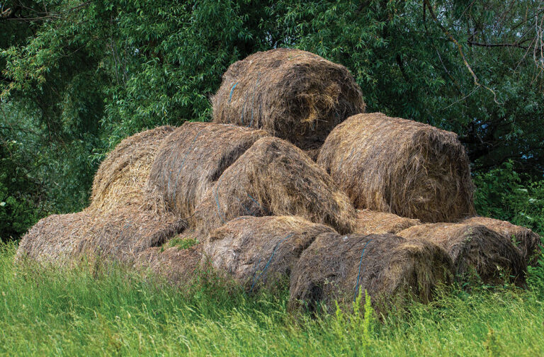 Recycling Old, Spoiled Hay - Ozarks Farm & Neighbor Newspaper - written ...