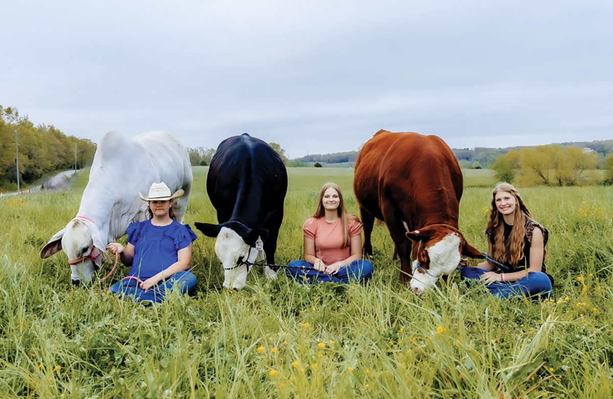 Three Girls on a Mission with their Cattle Projects - Ozarks Farm ...